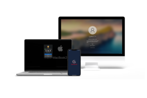 GoTrust ID – ch – GoTrustID Inc.